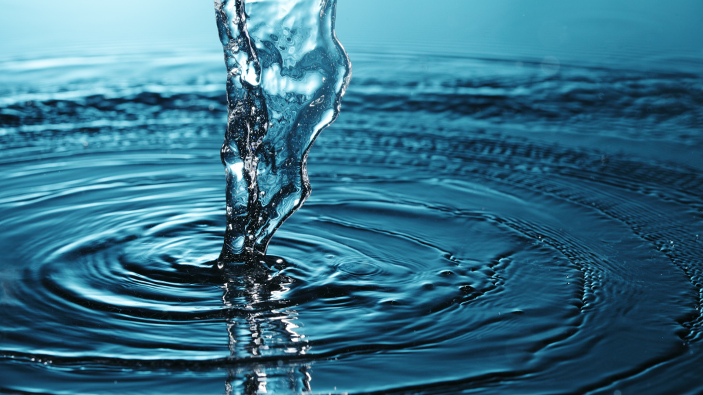 Water Separation System | Seals & Profiles