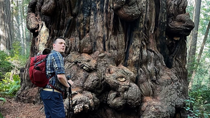 Home | Seals & Profiles