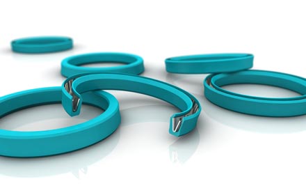 Turcon® Variseal® M2