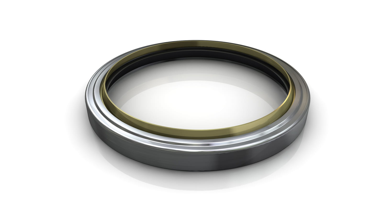 Metal Scraper | Trelleborg Sealing Solutions