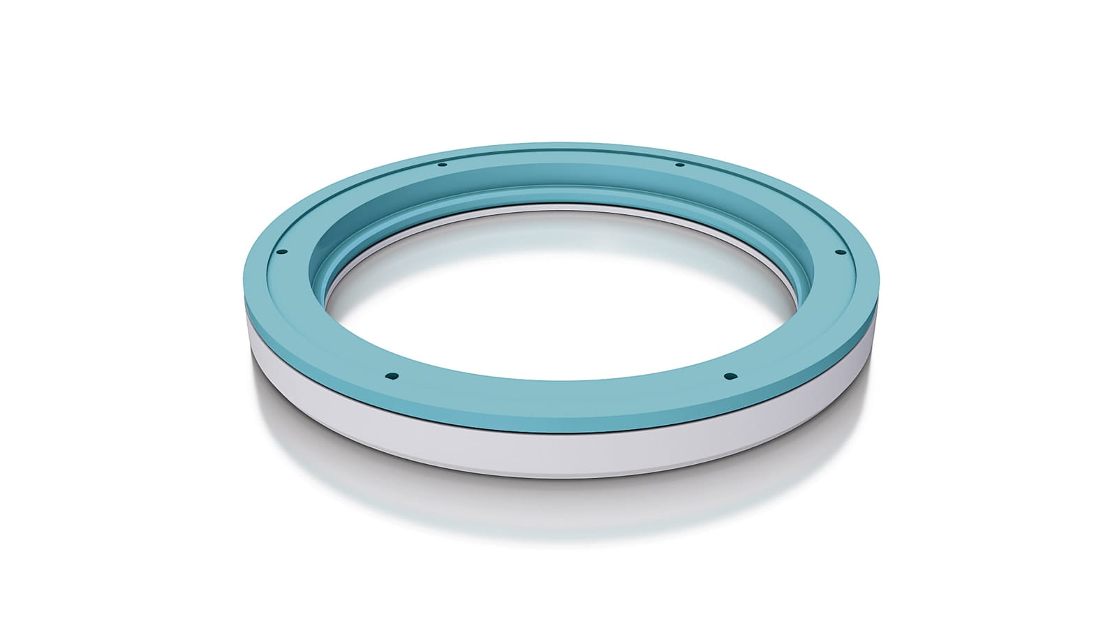 Roto Glyd Ring DXL | Trelleborg Sealing Solutions