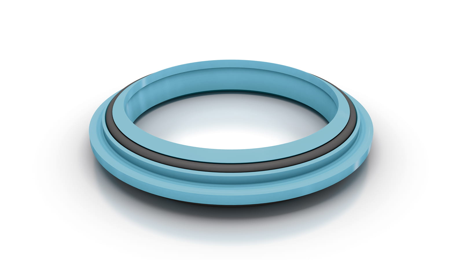 Turcon® Excluder® SR (2 x O-Ring) | Hydraulic Wipers & Scrapers