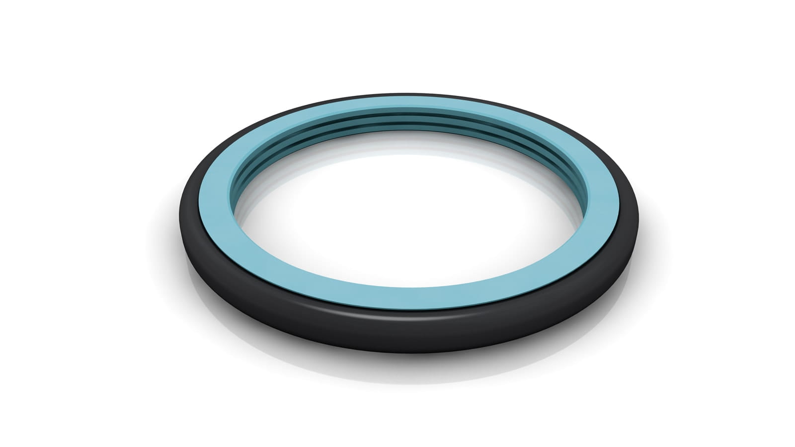 Turcon® Roto Glyd Ring® | Rotary & Shaft Seals | Trelleborg