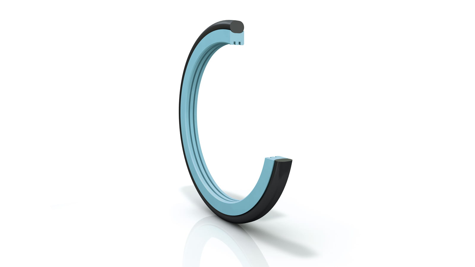 Turcon® Roto Glyd Ring® | Rotary & Shaft Seals | Trelleborg