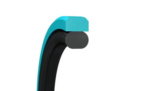 Turcon® Glyd Ring®
